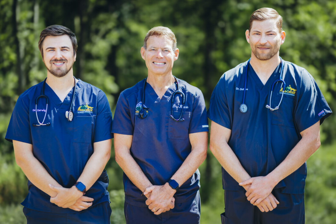 Pine Creek Veterinary Associates welcomes Dr. Nathan Zerwig; completes ...